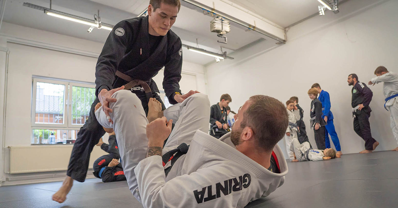 Erwachsene - Helios Project